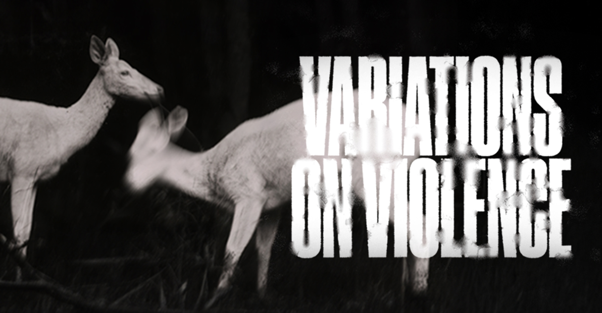 Variations on Violence - A New Feature Film, Arriving Early 2026